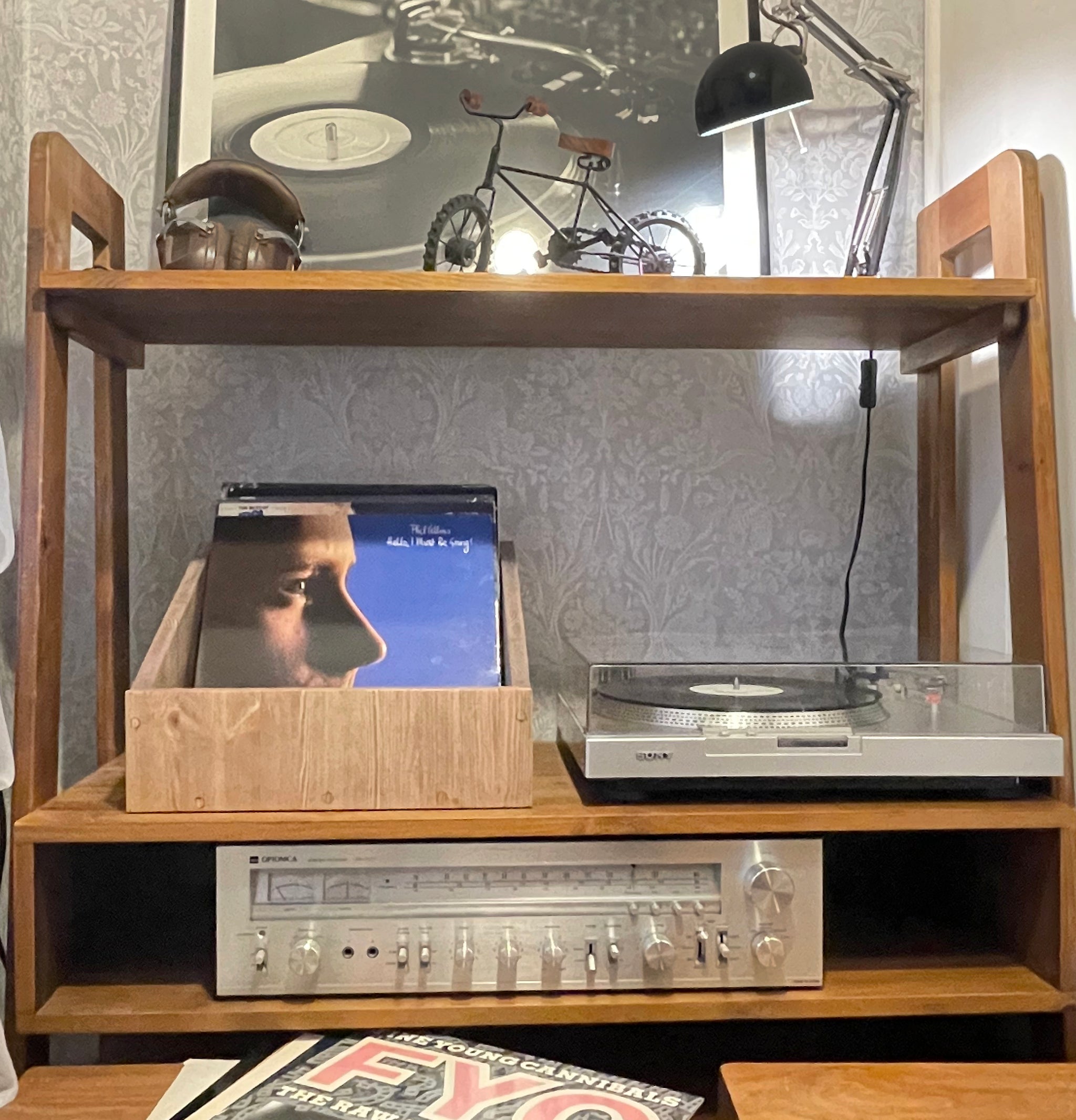 Handcrafted with Solid Wood, Vinyl Record Storage and Record Storage B ...